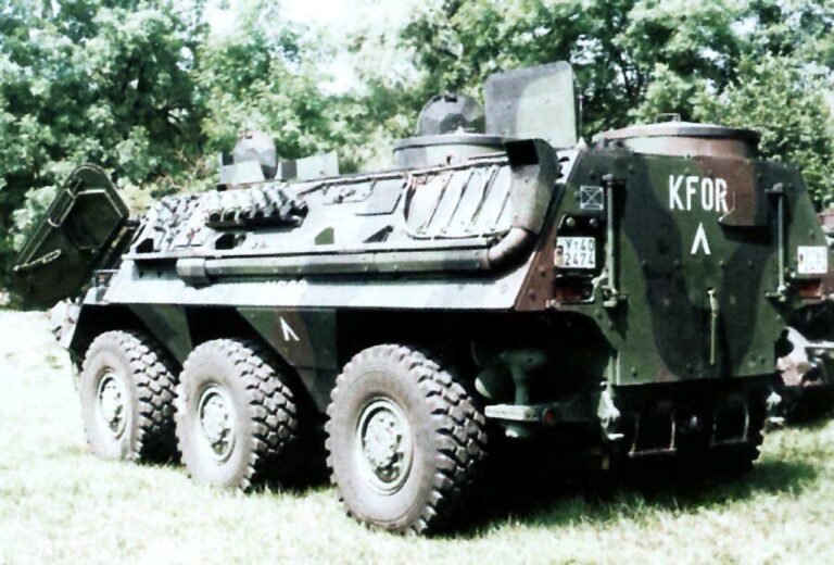 TPz-1 FUCHS gallery | Weapons Parade | TPz-1 FUCHS gallery