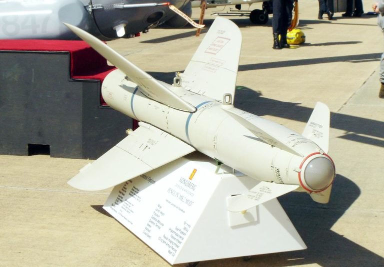 PENGUIN gallery | Weapons Parade | PENGUIN anti-ship missile (AShM).