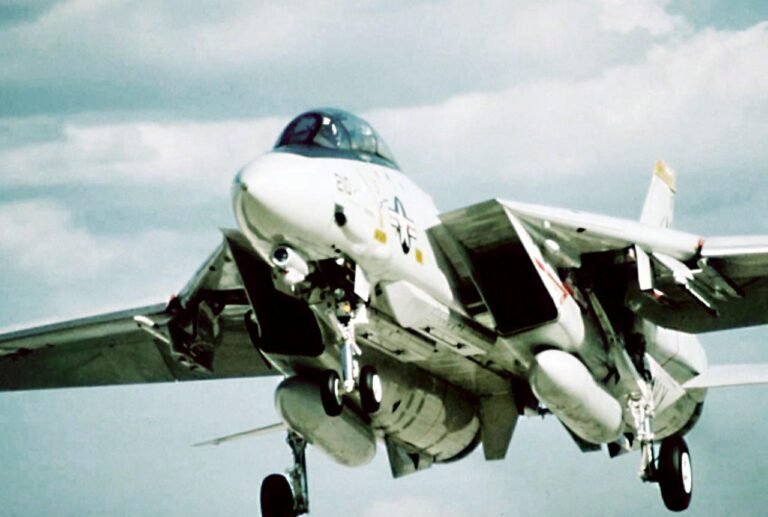 Grumman F-14 TOMCAT gallery 1 | Weapons Parade