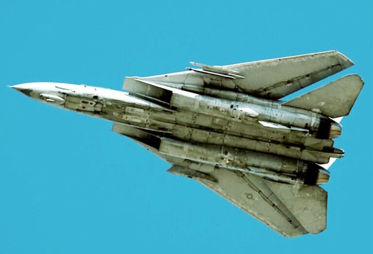 Grumman F-14 TOMCAT gallery 1 | Weapons Parade