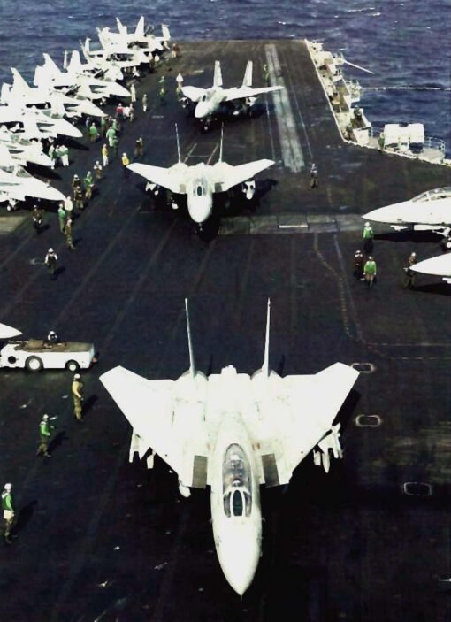 Grumman F-14 TOMCAT gallery 2 | Weapons Parade