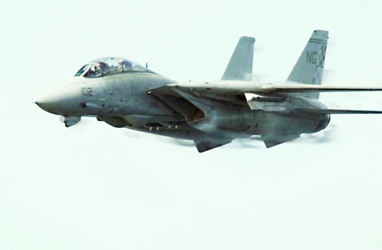 Grumman F-14 TOMCAT gallery 2 | Weapons Parade
