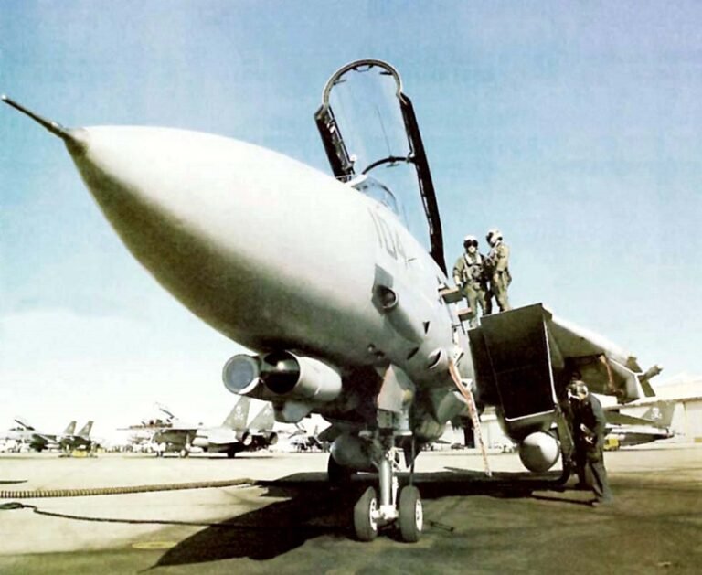 Grumman F-14 TOMCAT gallery 1 | Weapons Parade