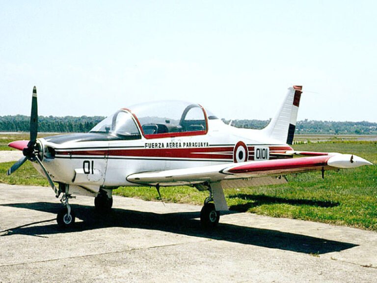 Enaer T-35 PILLÁN training aircraft | Weapons Parade Enaer T-35 PILLÁN ...