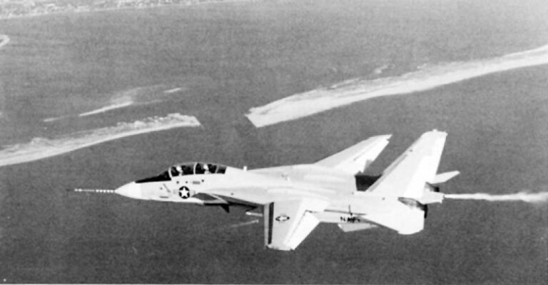 Grumman F-14 TOMCAT gallery 1 | Weapons Parade